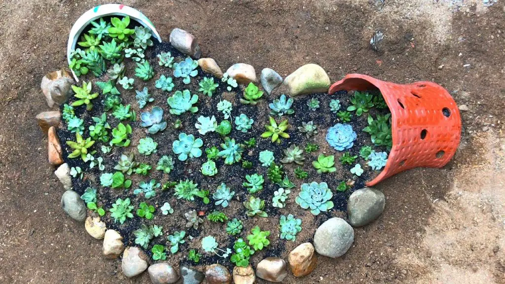 Recycle broken pots to grow stone lotus of the Home Garden – Greenhome ...