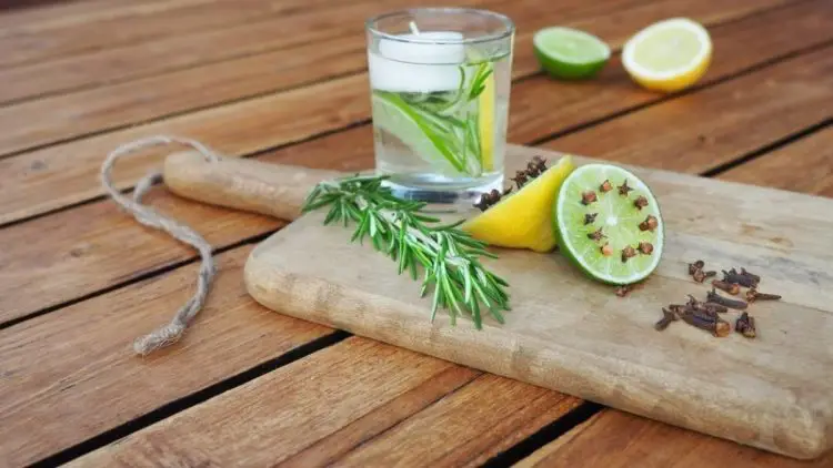 5 Natural and Effective Anti-Mosquito Plants – Greenhome Gardening