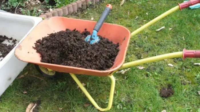 The Compost Pit – A Stroke of Genius for Your Garden? – Greenhome Gardening