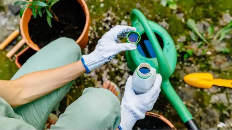 Urine as Fertilizer: These 7 Plants Bloom Even Better When You Pee on ...